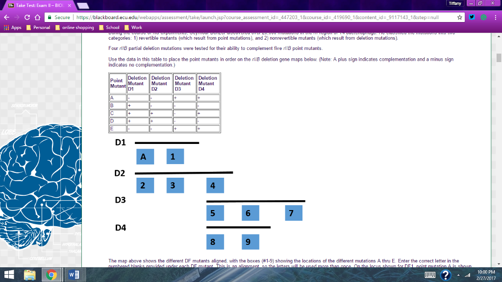 Solved During the course of his experiments, Seymour Benzer | Chegg.com