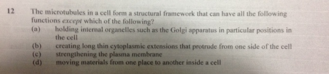 Solved The microtubules in a cell form a structural | Chegg.com
