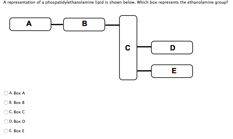 Solved A representation of a phospatidylethanolamine lipid | Chegg.com