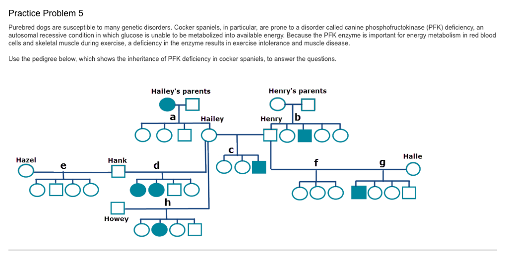 Solved Practice Problem 5 Purebred dogs are susceptible to | Chegg.com
