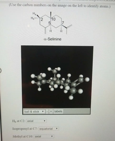 Solved (Use the carbon numbers on the image on the left to | Chegg.com