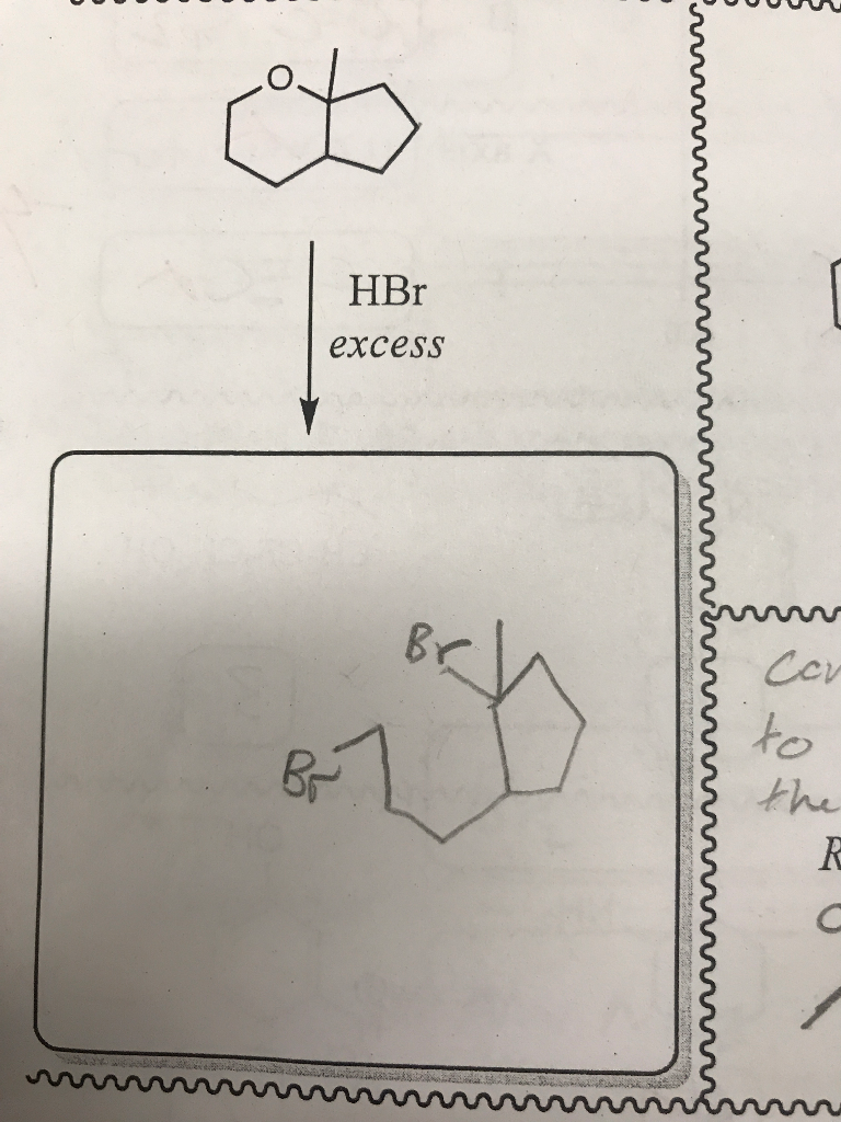 Solved Can you draw the mechanism for this cyclic ester and | Chegg.com