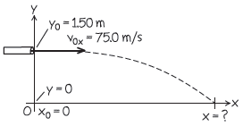 Bullet Projectile Motion