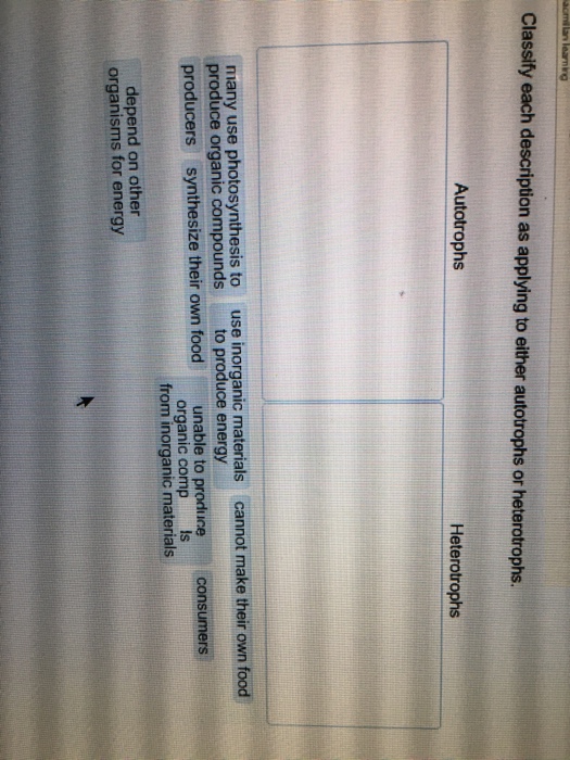 Solved Classify each description as applying to either | Chegg.com Solved Classify each description as applying to either | Chegg.com