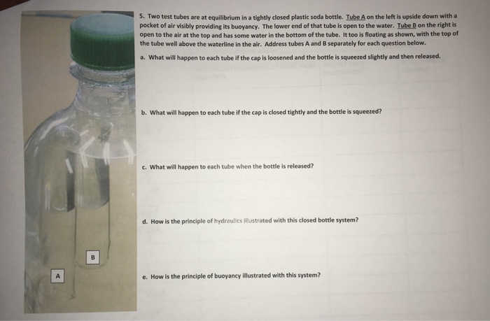 Solved Fluid Mechanics: Cartesian Diver Conceptual Two test | Chegg.com