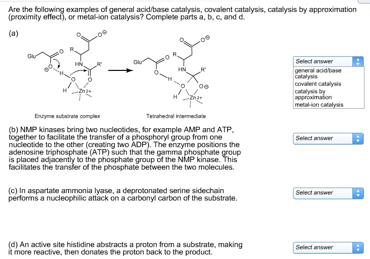 Are the following examples of general acid/base | Chegg.com