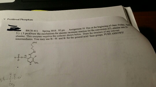 Solved V yridoxal Phosphate Spring 2018 95 pts Assigsment 10 | Chegg.com