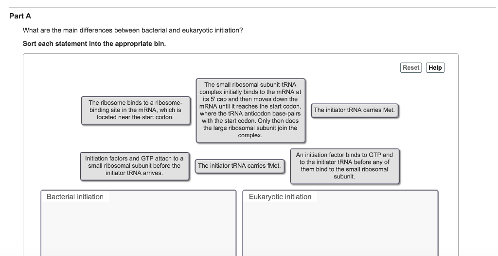 Solved What are the main differences between bacterial and | Chegg.com
