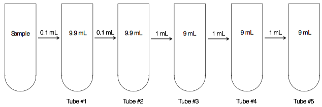 Solved Biology: Dilutions. Please explain and show work for | Chegg.com