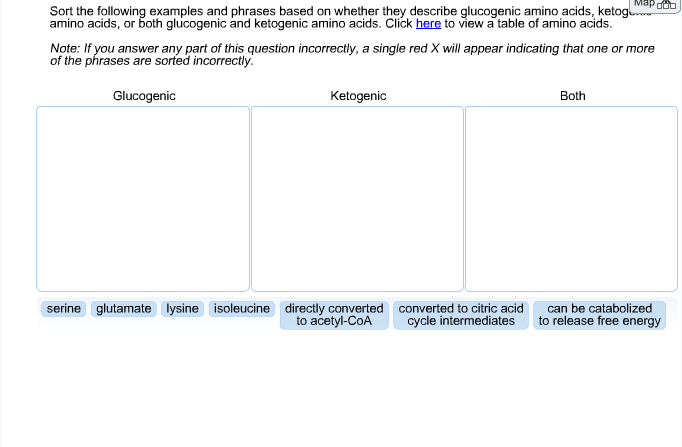 Solved Sort the following examples and phrases based on | Chegg.com