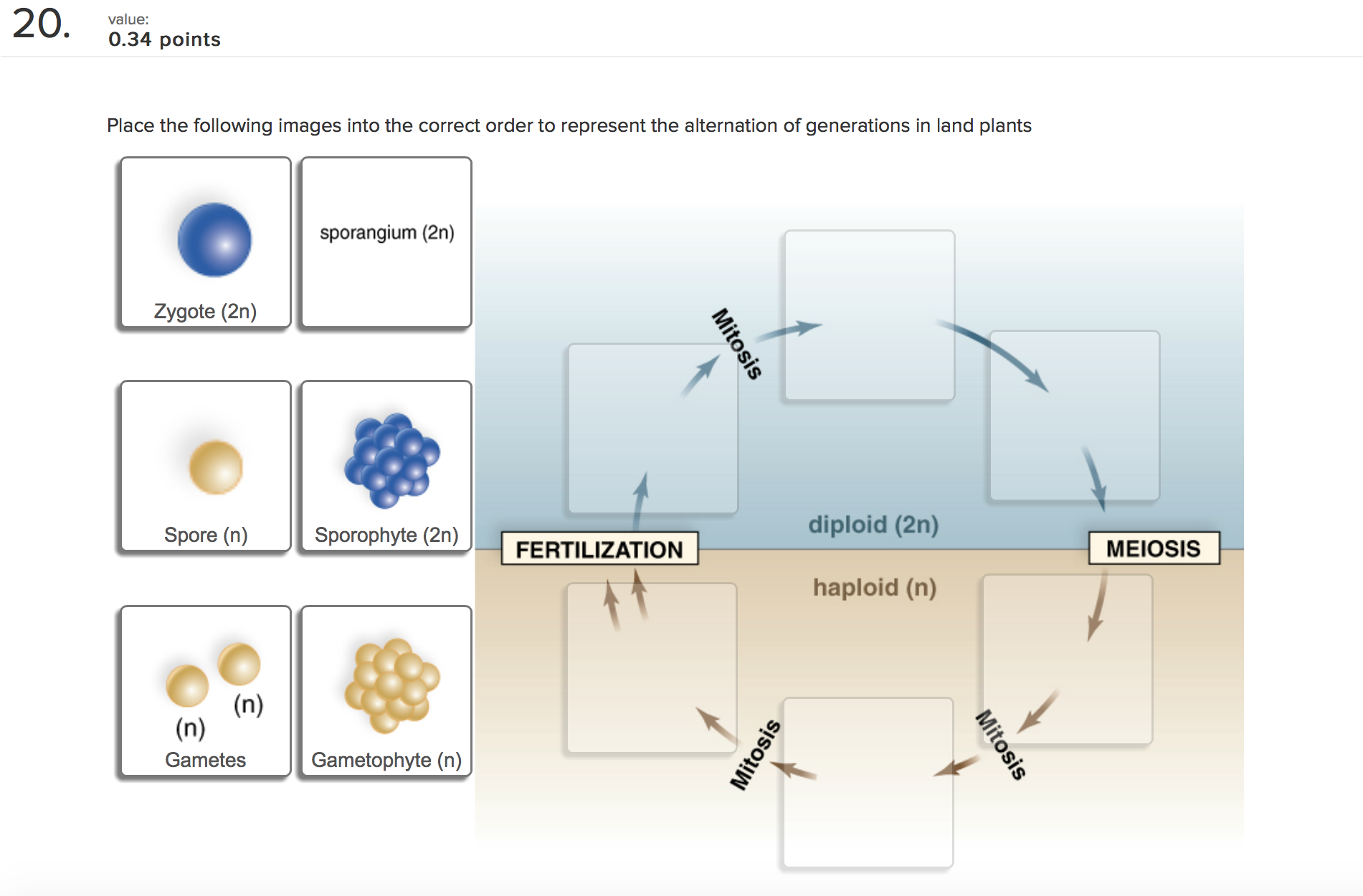 Solved Place the following images into the correct order to | Chegg.com