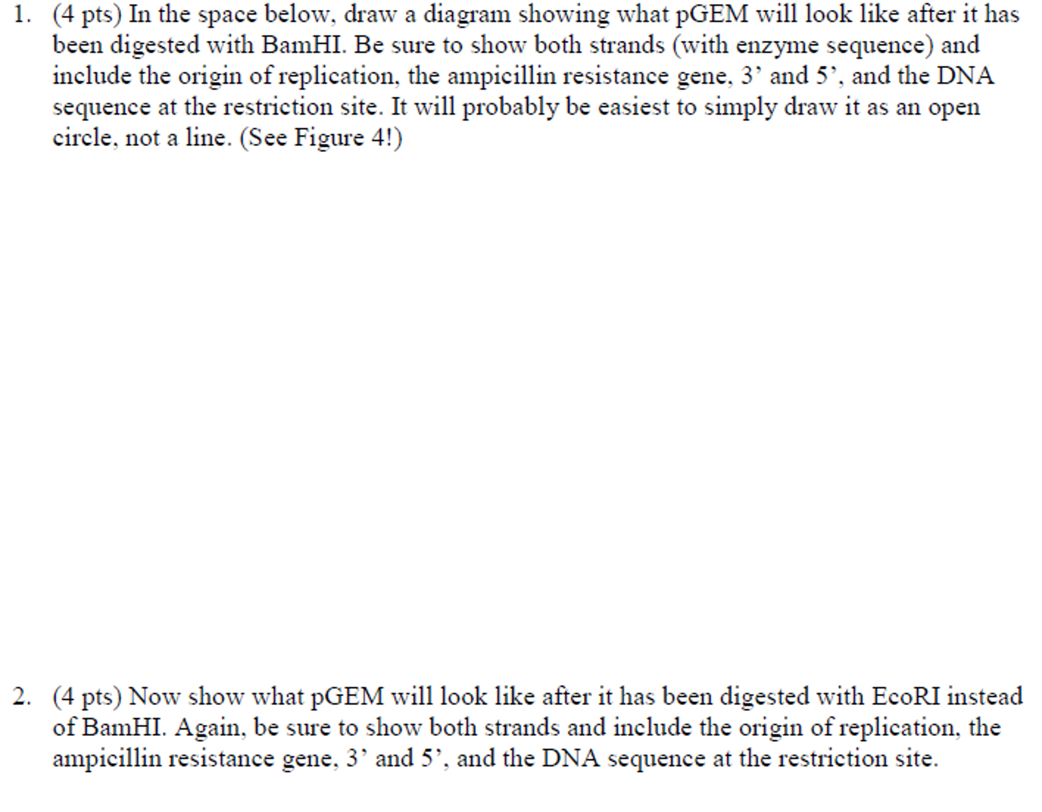 Solved Figure 7: Experimental Plasmids BamHI EcoRI pGEM ori | Chegg.com Solved Figure 7: Experimental Plasmids BamHI EcoRI pGEM ori | Chegg.com
