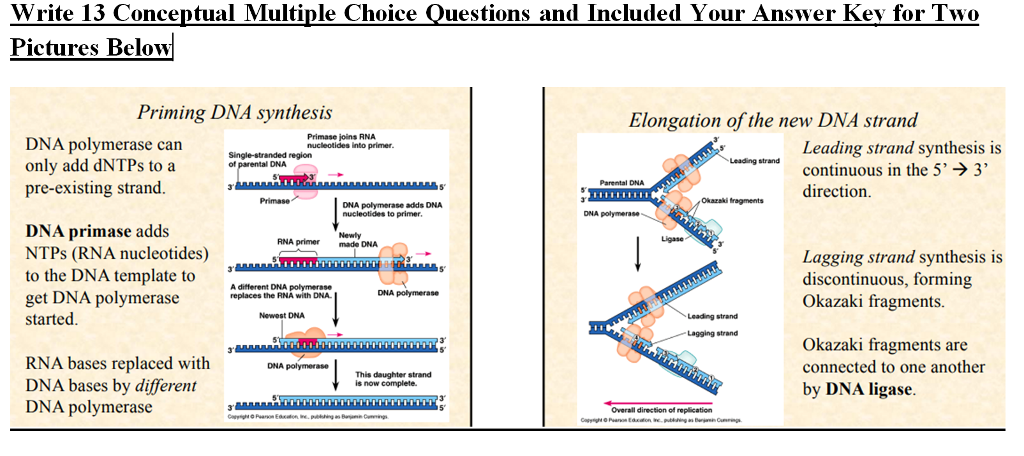 Solved Note: Write 13 Conceptual Multiple Choice Questions | Chegg.com