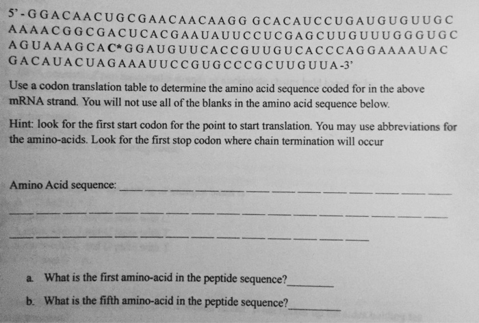 Solved Use a codon translation table to determine the | Chegg.com