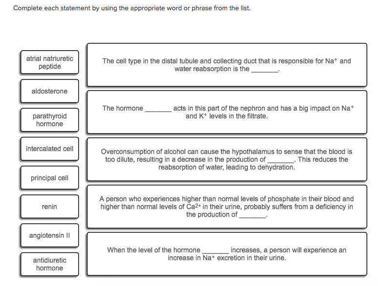 Solved Complete each statement by using the appropriate word | Chegg.com