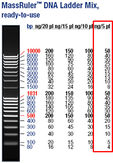 Question: Use the gel and MassRuler DNA ladder mix | Chegg.com