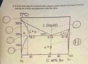 Solved In the following hypothetical isomorphous binary | Chegg.com