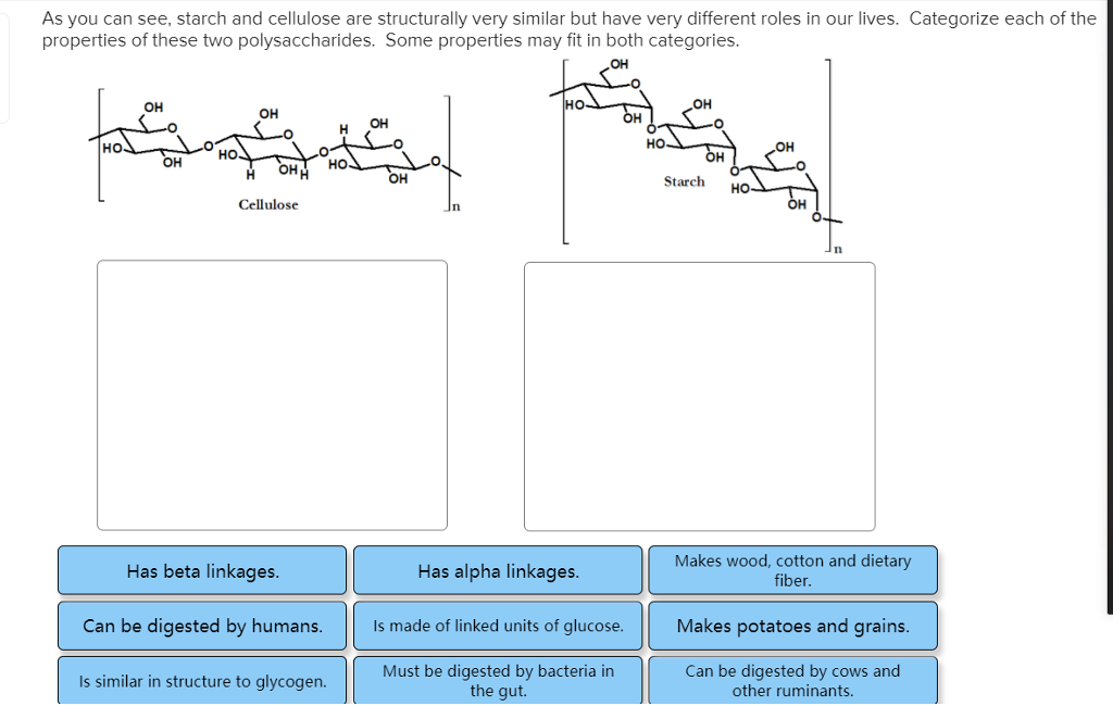 Solved As you can see, starch and cellulose are structurally | Chegg.com