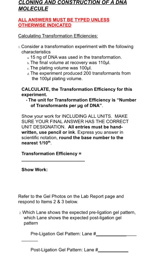 Solved MOLECULE ALL ANSWERS MUST BE TYPED UNLESS HERWISE | Chegg.com
