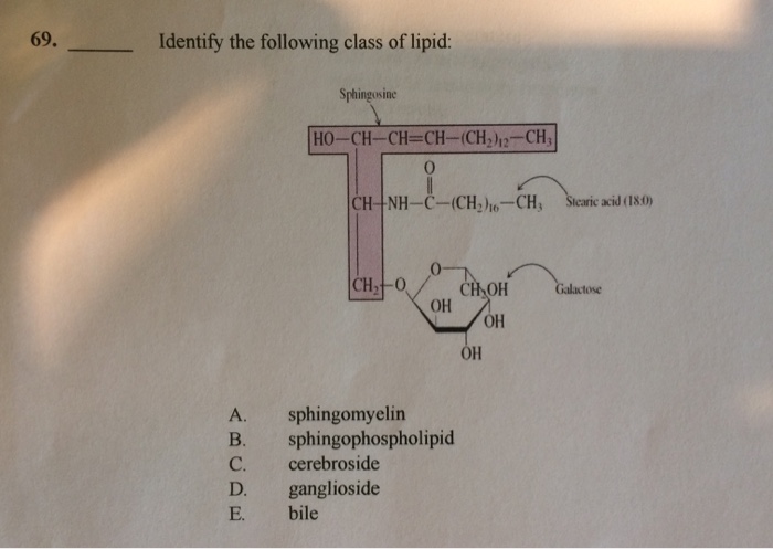 Solved Identify the following class of lipid: | Chegg.com
