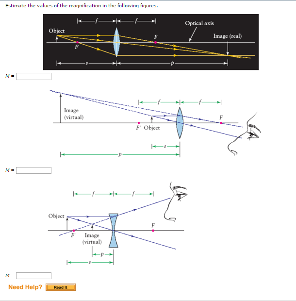Solved Estimate the values of the magnification in the | Chegg.com