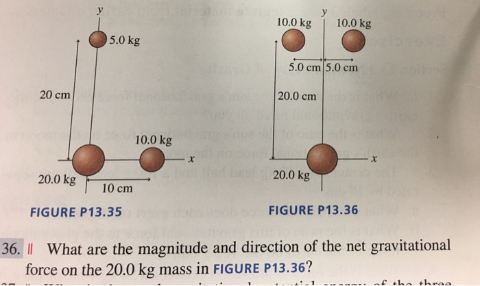 Solved What are the magnitude and direction of the net | Chegg.com