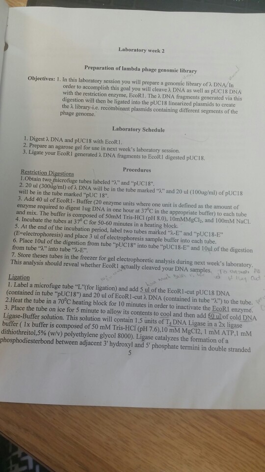 Solved Laboratory week 2 Preparation of lambda phage genomic | Chegg.com