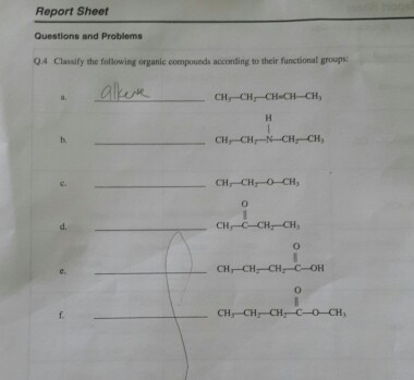 Solved Classify the following organic compounds according to | Chegg.com