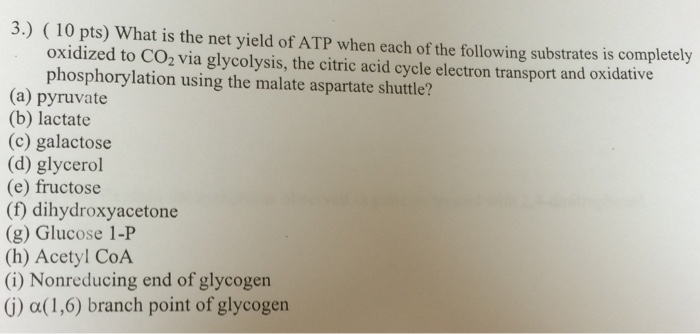 Solved What is the net yield of ATP when each of the | Chegg.com