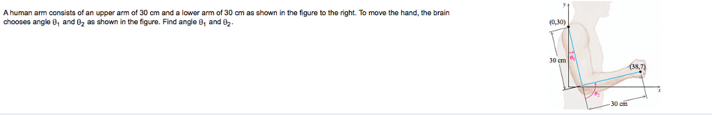 Solved A human arm consists of an upper arm of 30 cm and a | Chegg.com