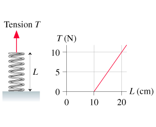 Solved: A Spring Is Attached To The Floor And Pulled Strai... | Chegg.com