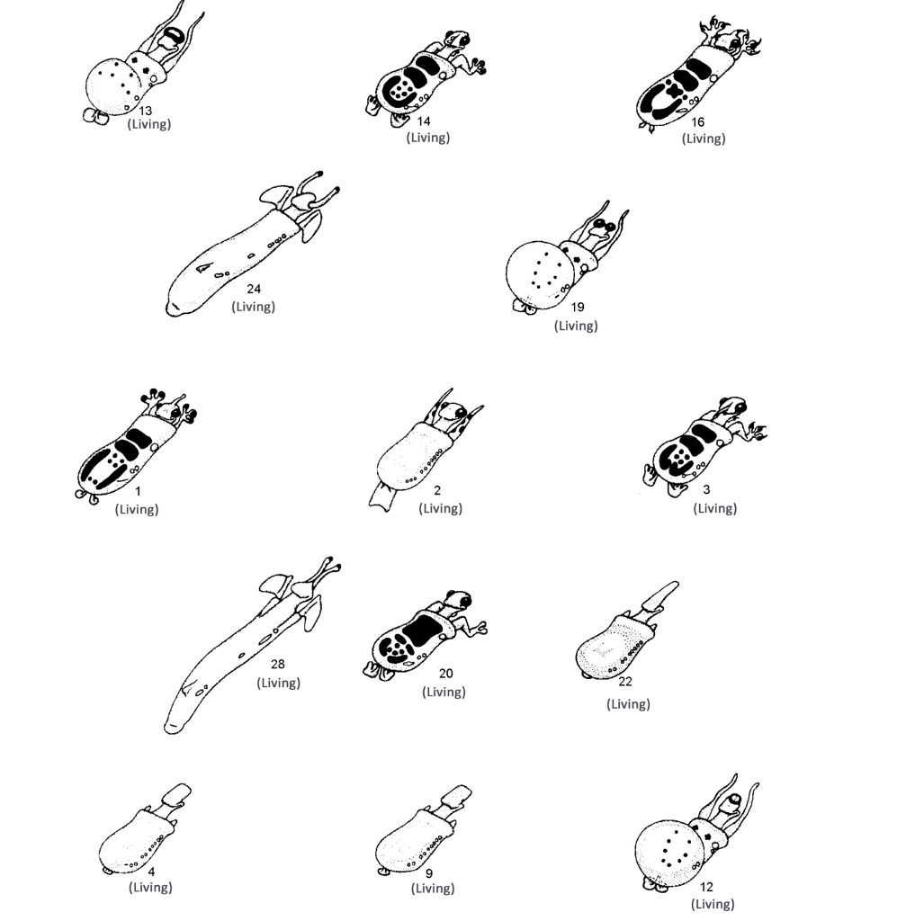 Caminalcules Worksheet Answers | Easy Math Worksheets