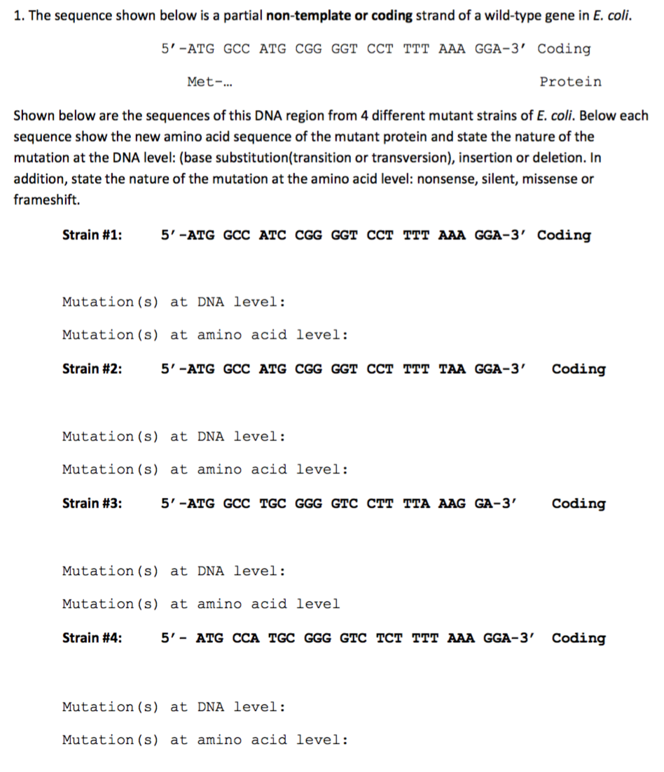 Solved The sequence shown below is a partial non-template or | Chegg.com