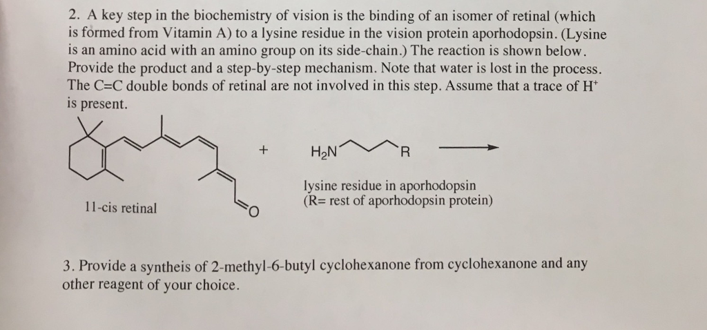 Solved 2. A key step in the biochemistry of vision is the | Chegg.com