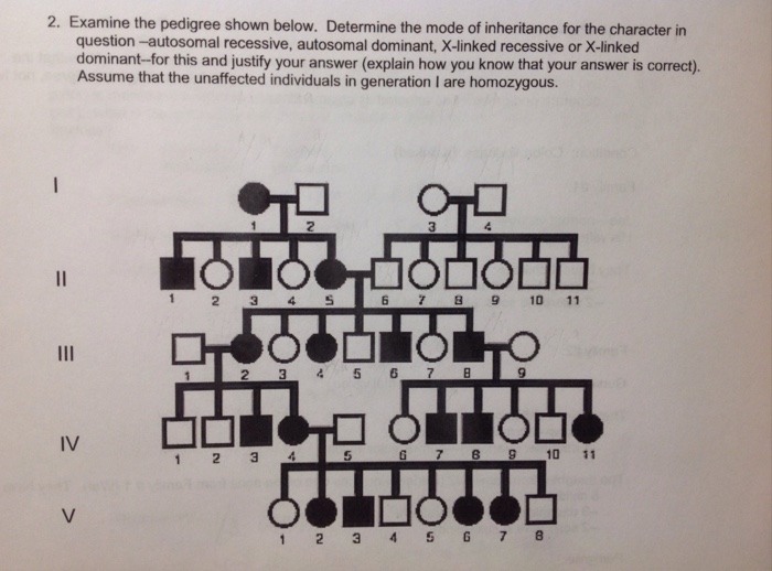 Solved Examine the pedigree shown below. Determine the mode | Chegg.com