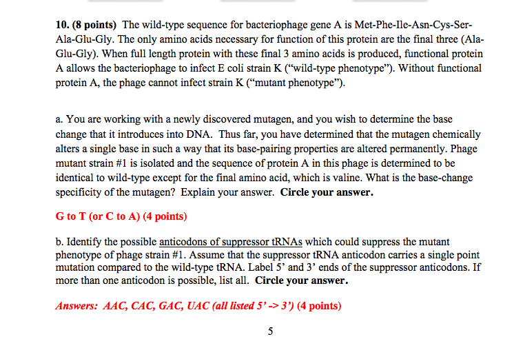 Solved The wild-type sequence for bacteriophage gene A is | Chegg.com
