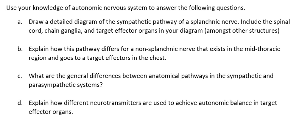 Solved Use your knowledge of autonomic nervous system to | Chegg.com