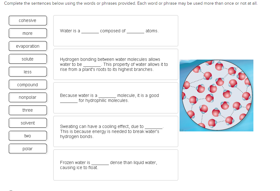Solved: Complete The Sentences Below Using The Words Or Ph... | Chegg.com