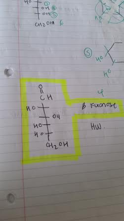 Solved Provide the B Furanose form of this molecule. I am | Chegg.com