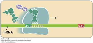 Solved 1. (Problem 23a) The anticodon of the next | Chegg.com