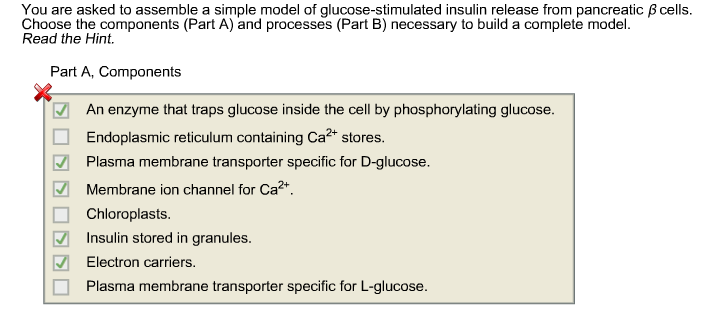 Solved Biochemistry Help please GLUCOSE REGULATION OF | Chegg.com