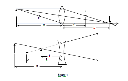 Solved 1. Derive the thin lens equation (equation 1) for a | Chegg.com