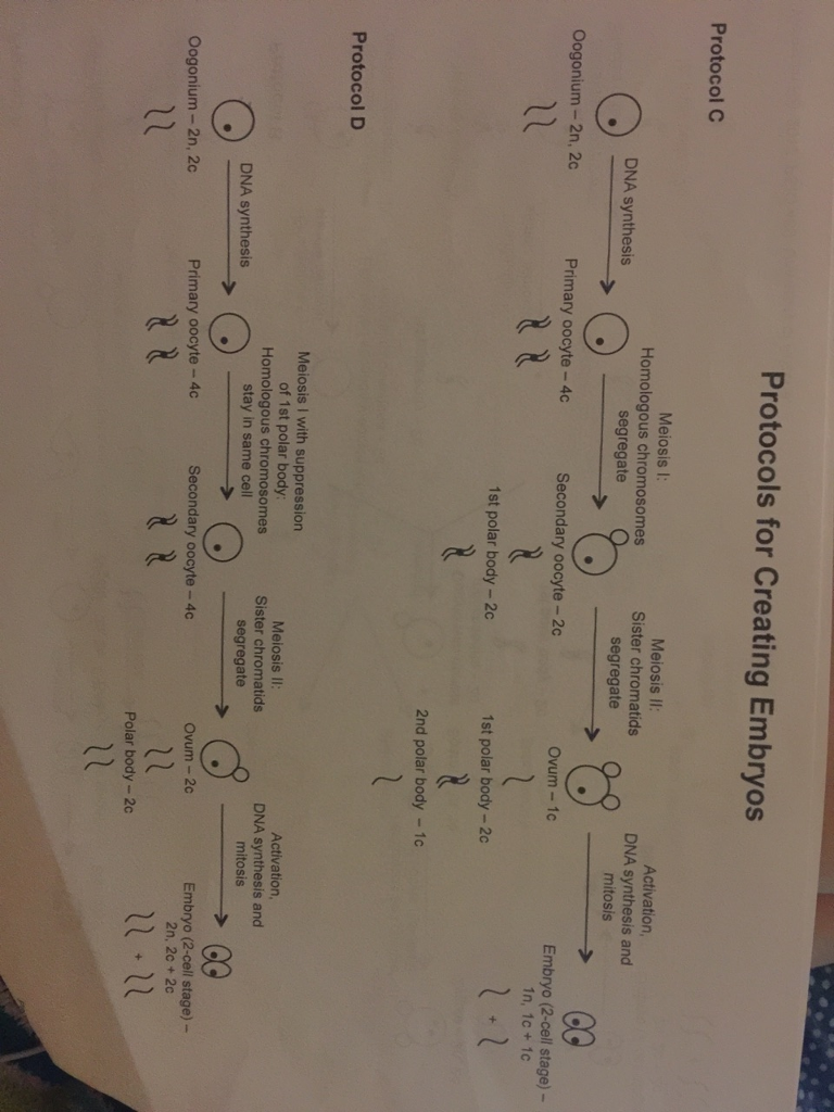 Solved Match each method to a protocol: Which protocol is | Chegg.com