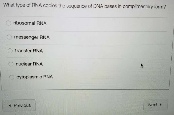 Solved What type of RNA copies the sequence of DNA bases in | Chegg.com