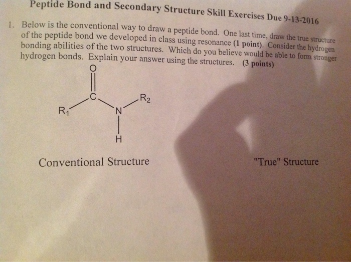 Solved Below is the conventional way to draw a peptide bond. | Chegg.com