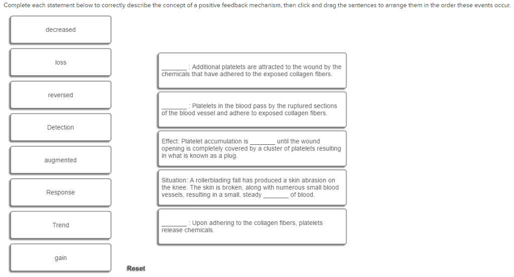 Solved Complete each statement below to correctly describe | Chegg.com