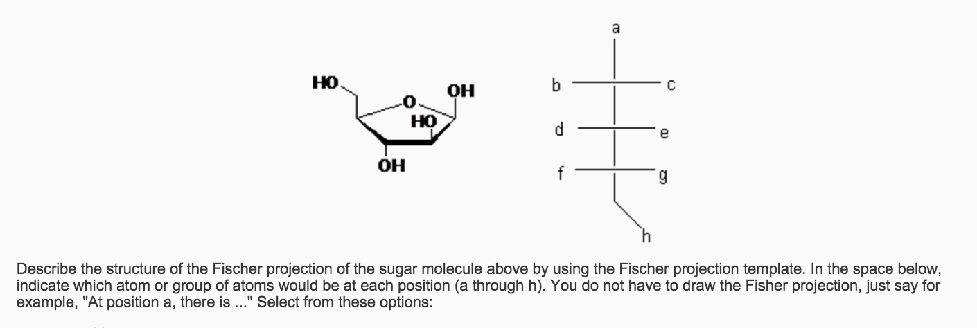 Solved Describe the structure of the Fischer projection of | Chegg.com