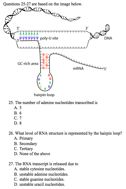 Solved Questions 25-27 are based on the image below poly-U | Chegg.com