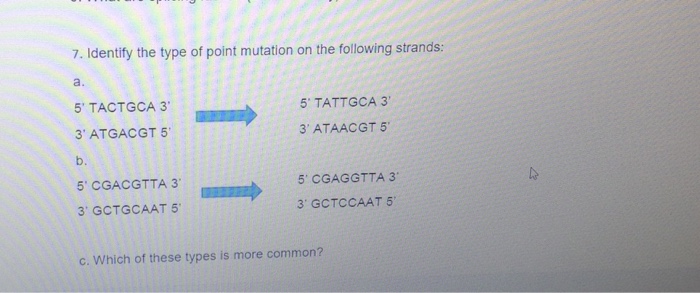 Solved Identify the type of point mutation on the following | Chegg.com