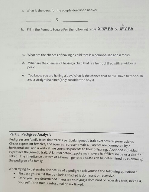 Solved Now that you are comfortable writing genotypes and | Chegg.com